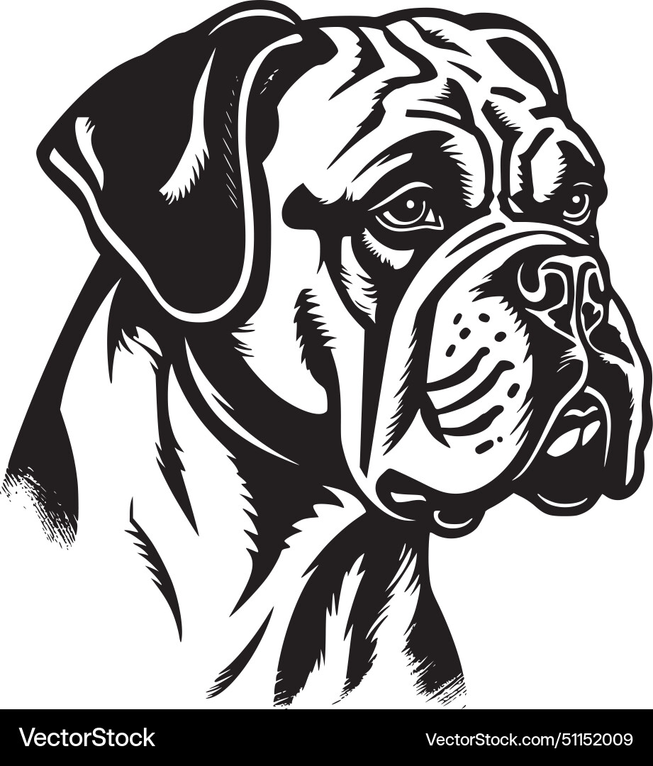 Boxer - high quality logo ideal for t-shirt – Royalty-Free Vector ...