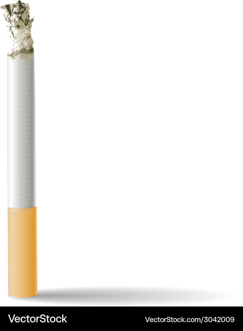 Cigarette Royalty Free Vector Image - VectorStock