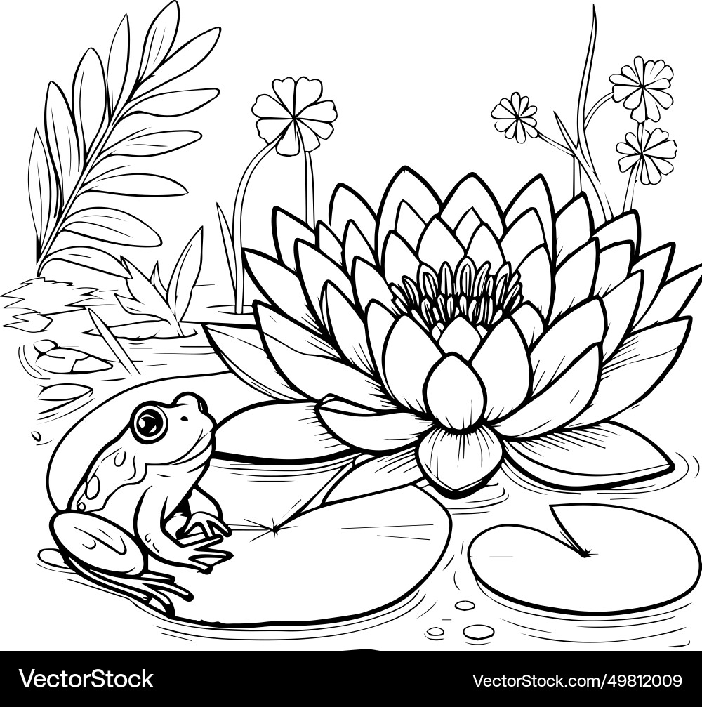 Water Lily Pad Outline
