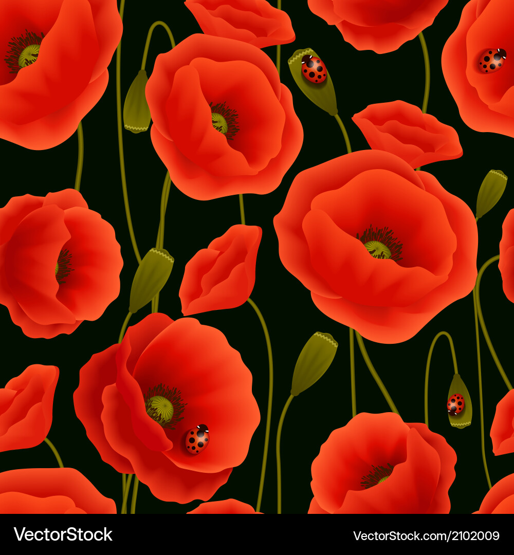 Poppy seamless pattern Royalty Free Vector Image