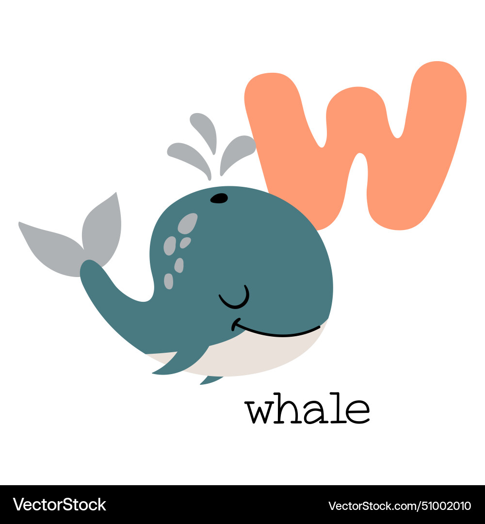 Educational of letter w from alphabet Royalty Free Vector