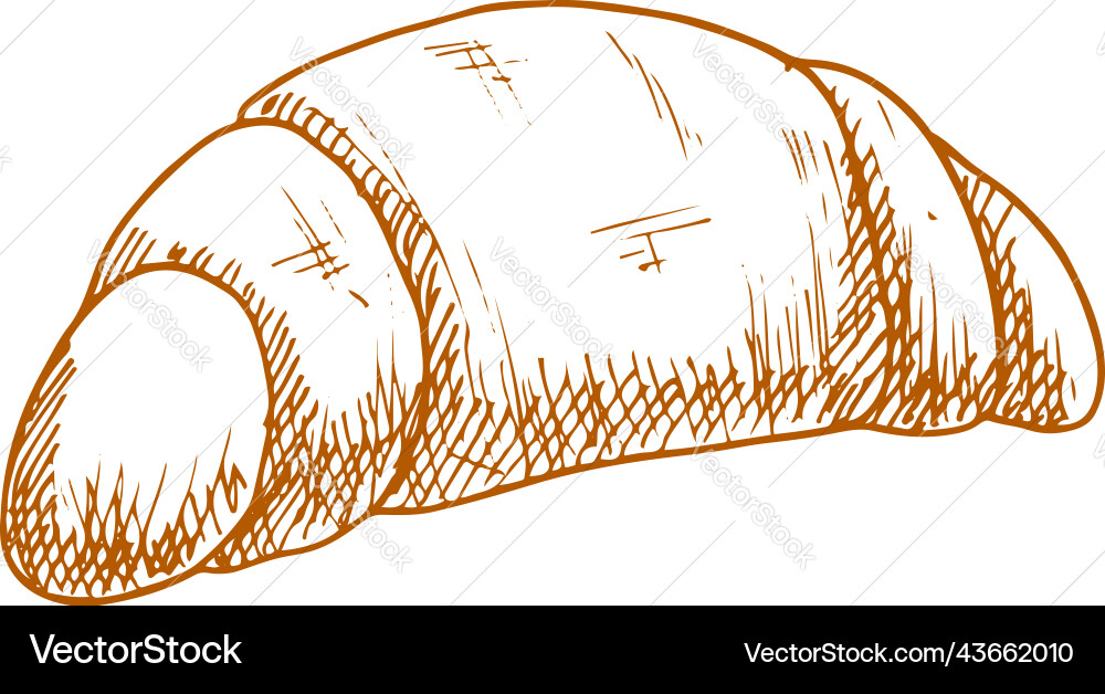 French roll isolated croissant hand drawn sketch Vector Image