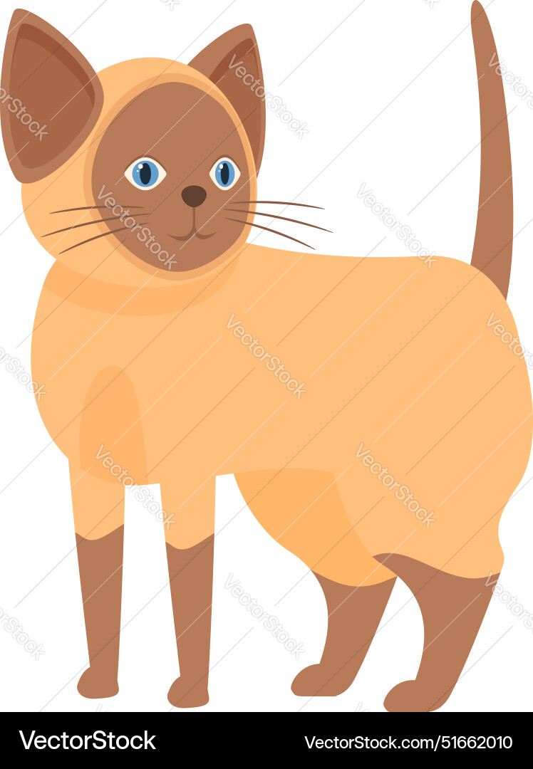 Siamese cat standing and looking Royalty Free Vector Image