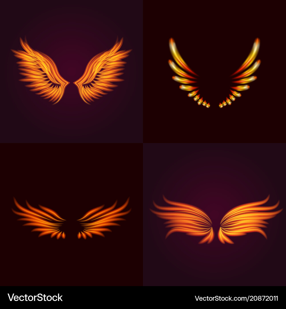 Bird fire wings fantasy feather burning fly Vector Image