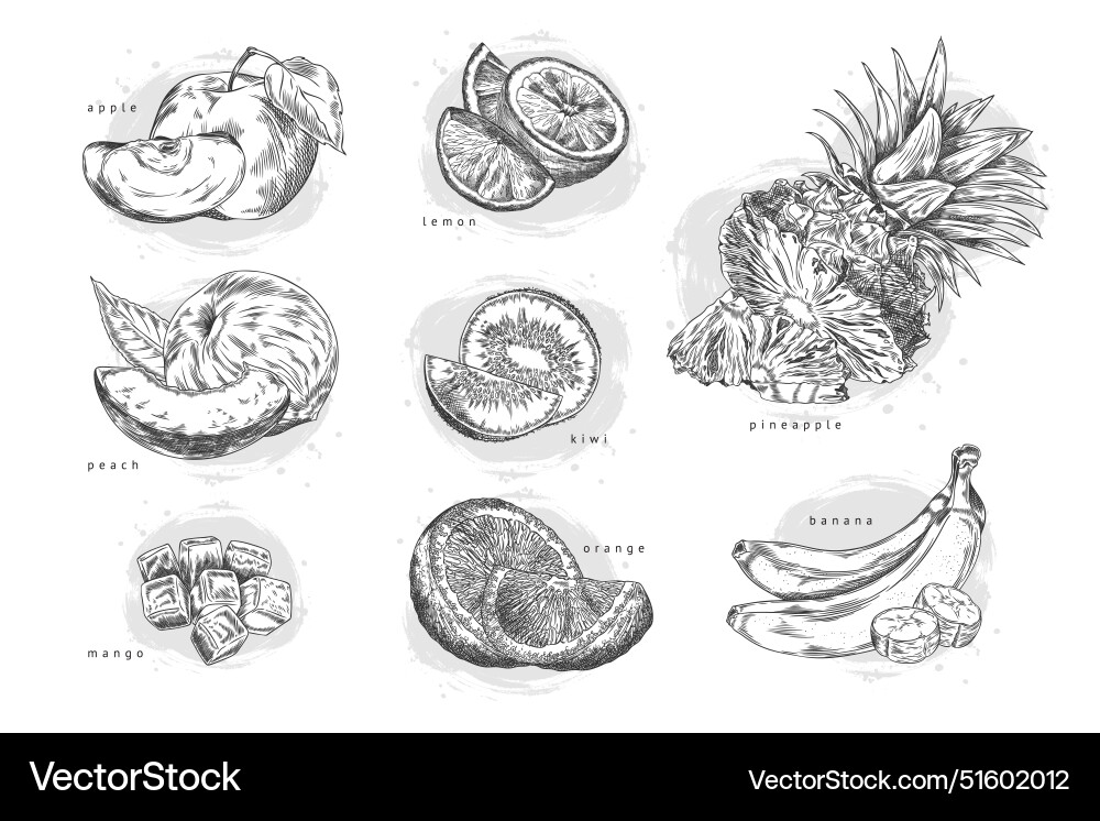 Assorted fruit sketches set Royalty Free Vector Image