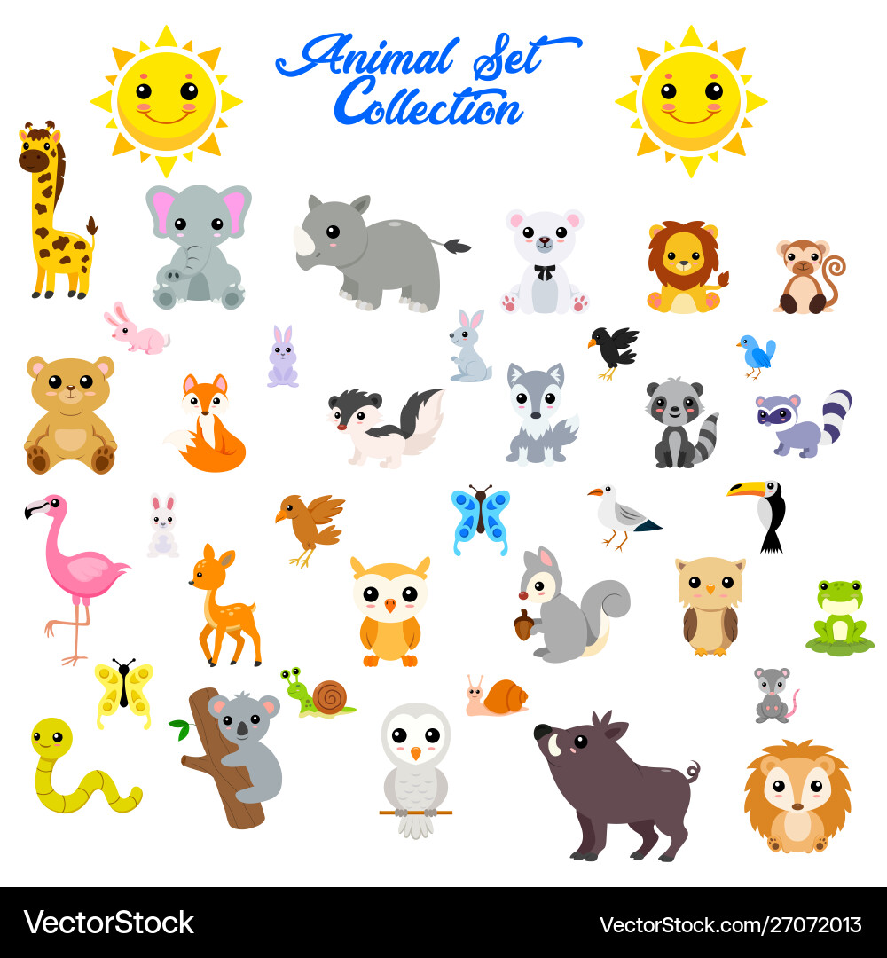Big set animals Royalty Free Vector Image - VectorStock