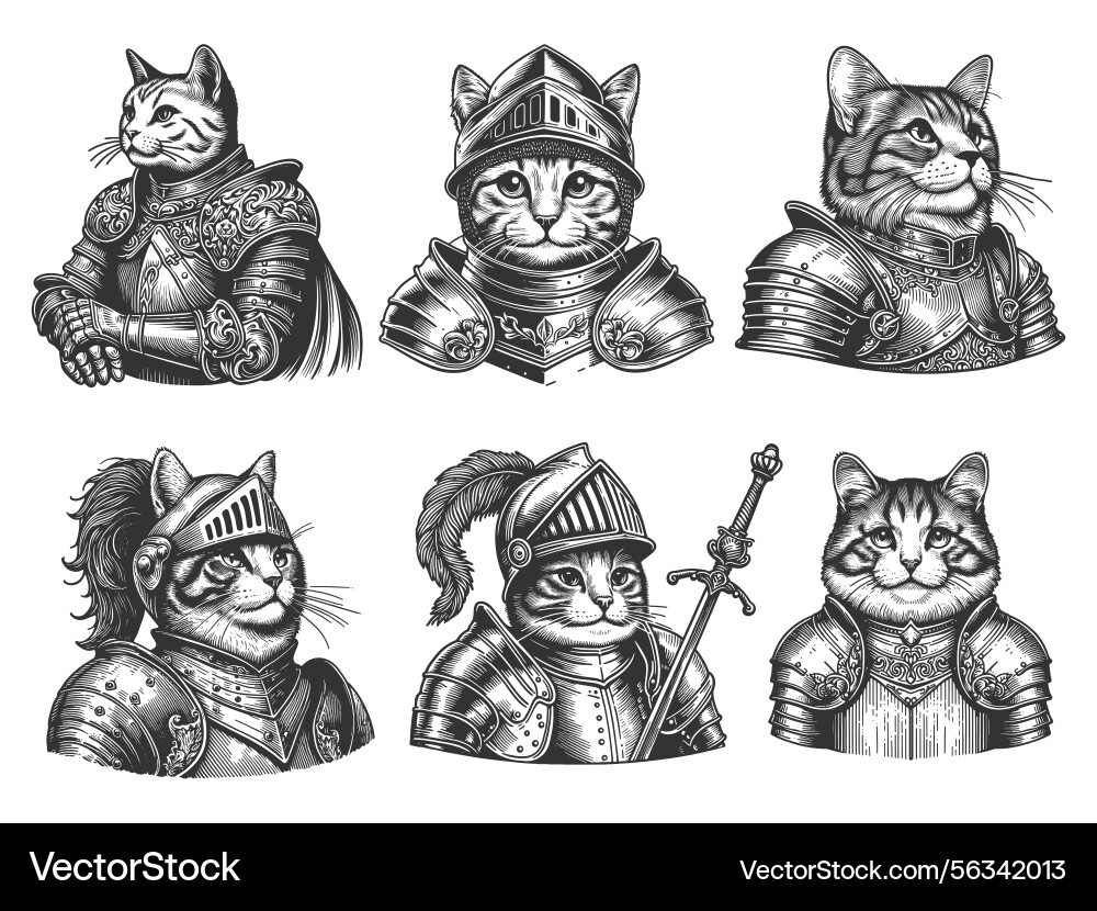 Medieval knight cats engraving collection Vector Image