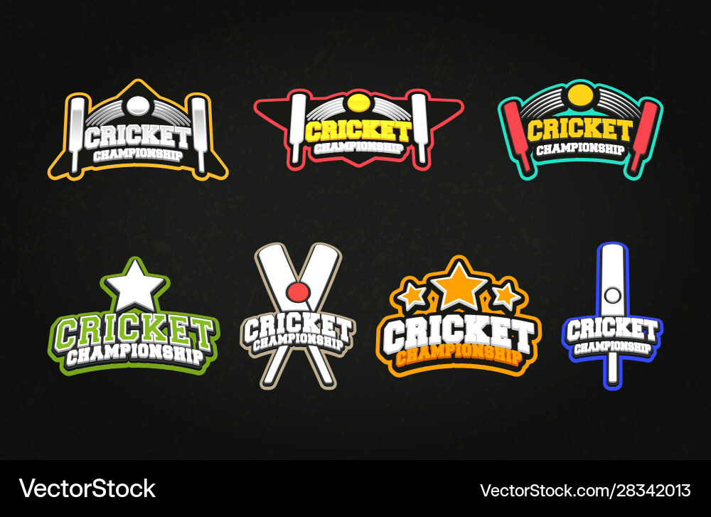 Modern professional typography cricket sport Vector Image