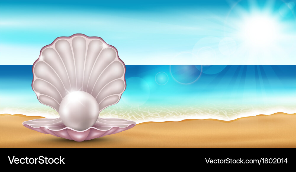 Shell beach Royalty Free Vector Image - VectorStock