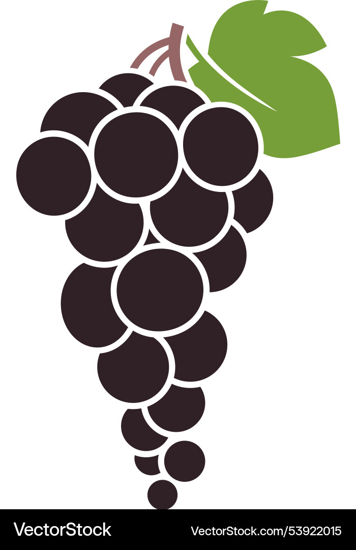 Grapes Royalty Free Vector Image - VectorStock