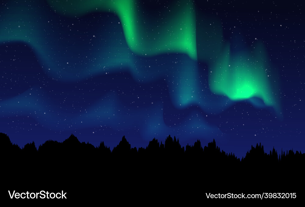 Realistic northern lights night sky and amazing Vector Image