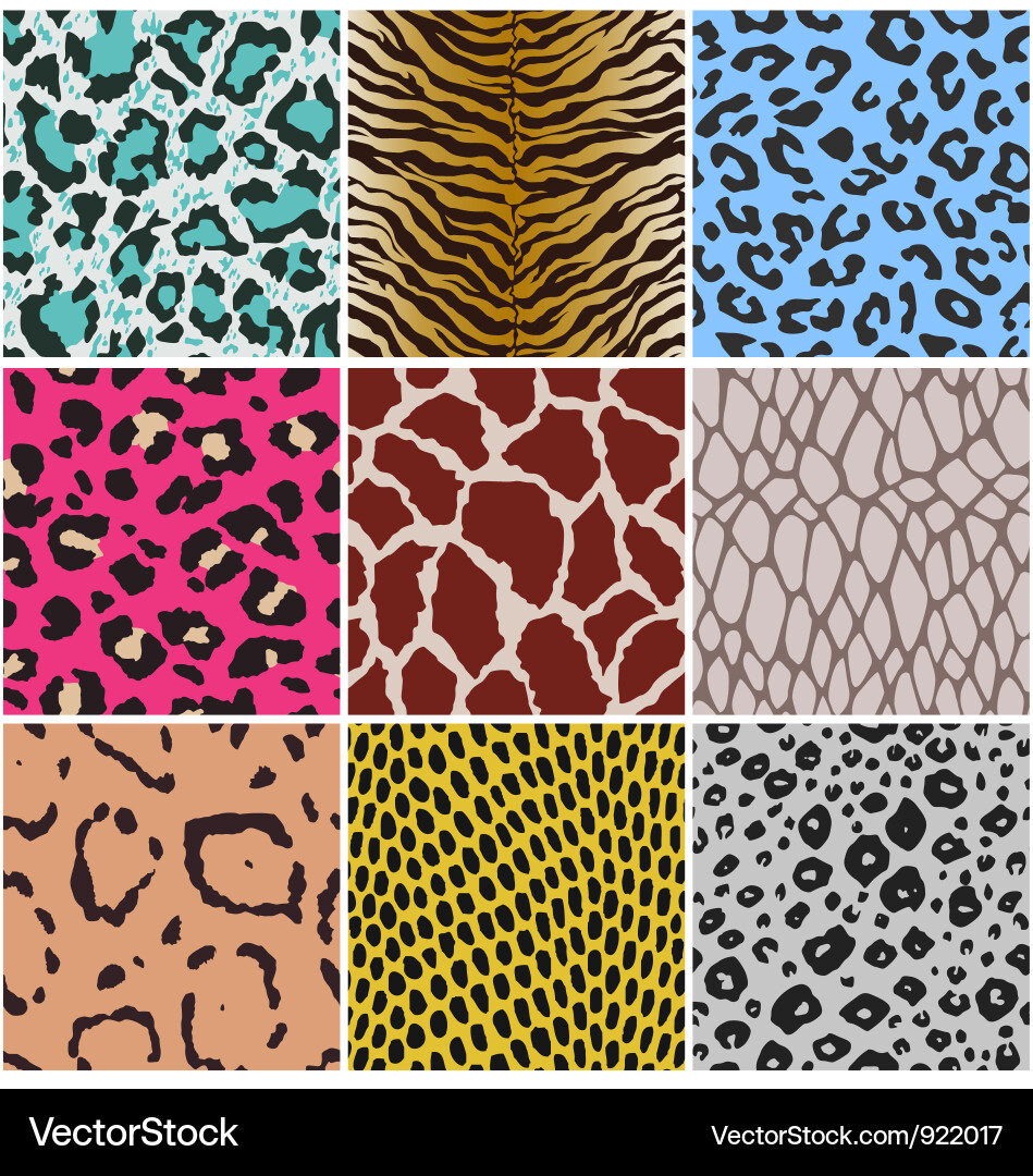 Animal skin pattern Royalty Free Vector Image - VectorStock