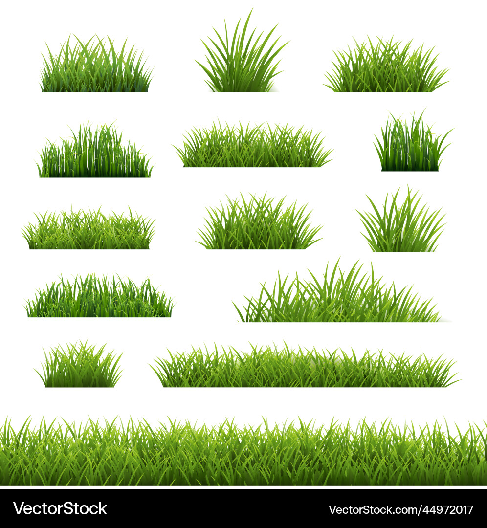 Big set green grass isolated Royalty Free Vector Image