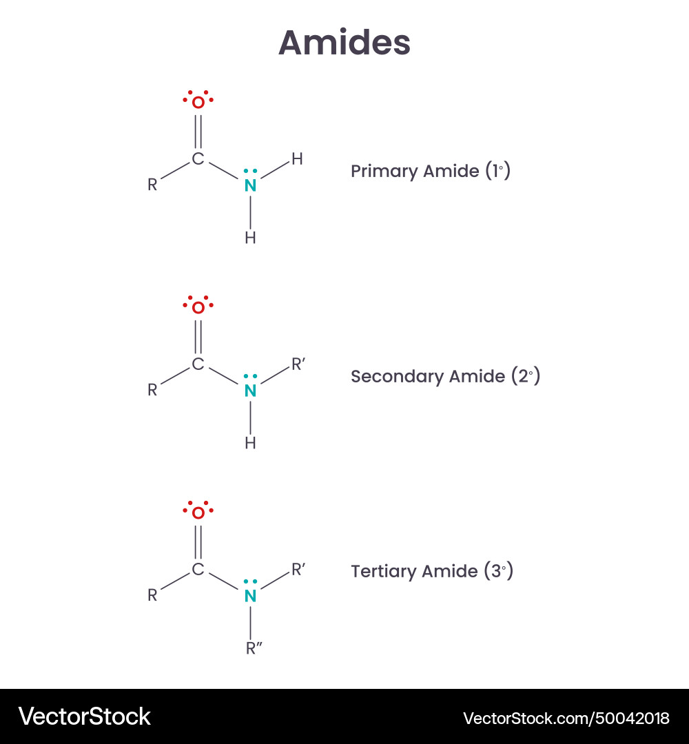 Amides biochemistry functional group Royalty Free Vector
