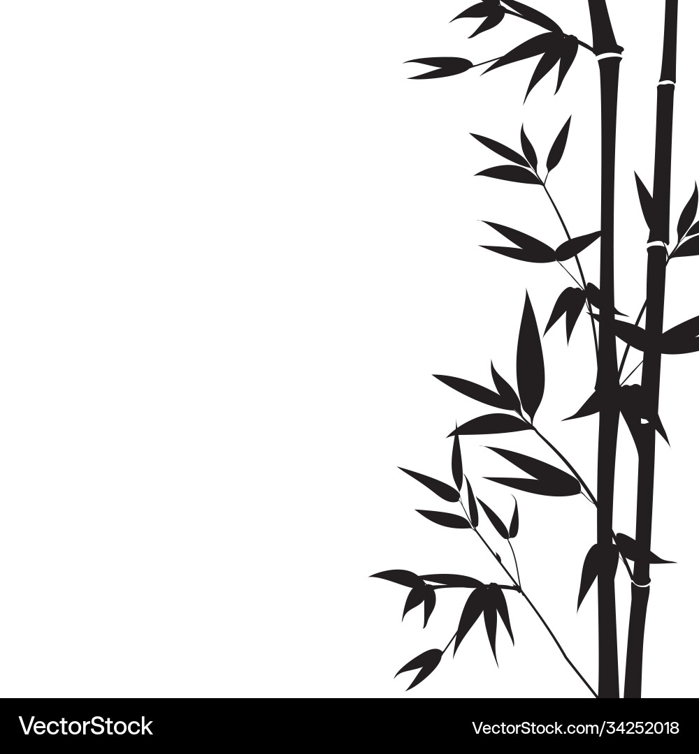 Elegant Bamboo Branches Royalty Free Vector Image