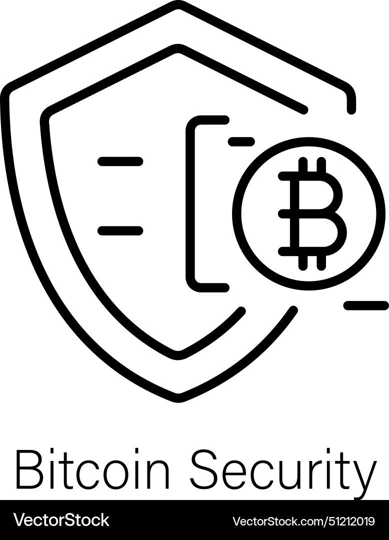 Bitcoin security Royalty Free Vector Image - VectorStock