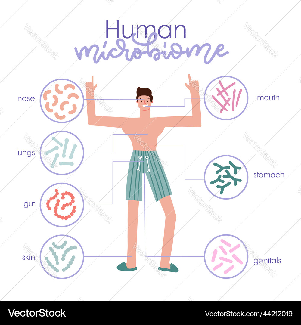 Different types of human microbiome infographic Vector Image