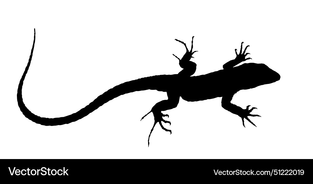 Silhouette of a lizard Royalty Free Vector Image