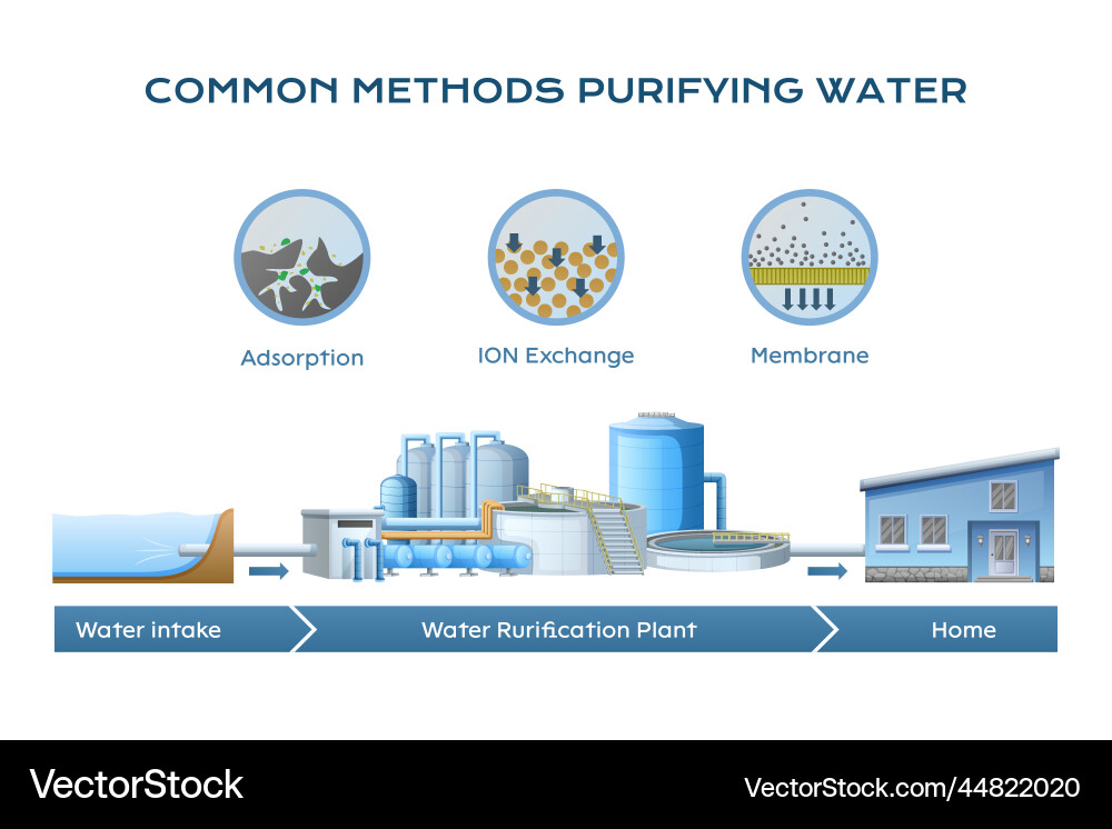 Common purifying water composition Royalty Free Vector Image