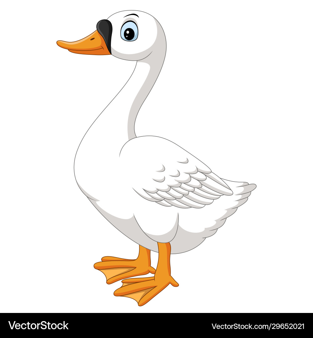 Cartoon goose on white background Royalty Free Vector Image