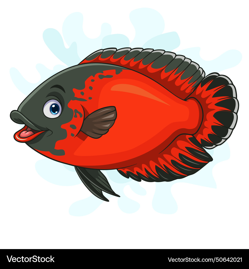 Cartoon red oscar paris fish on white background Vector Image