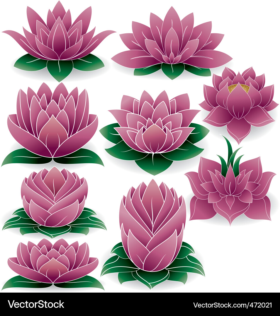 Lotus set Royalty Free Vector Image - VectorStock