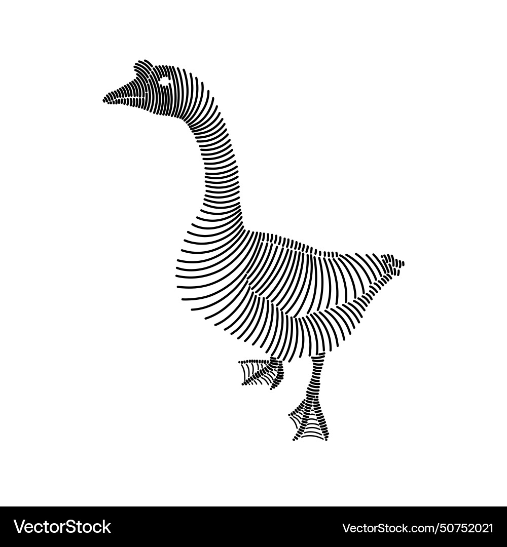 Simple line art of a swan 3 Royalty Free Vector Image