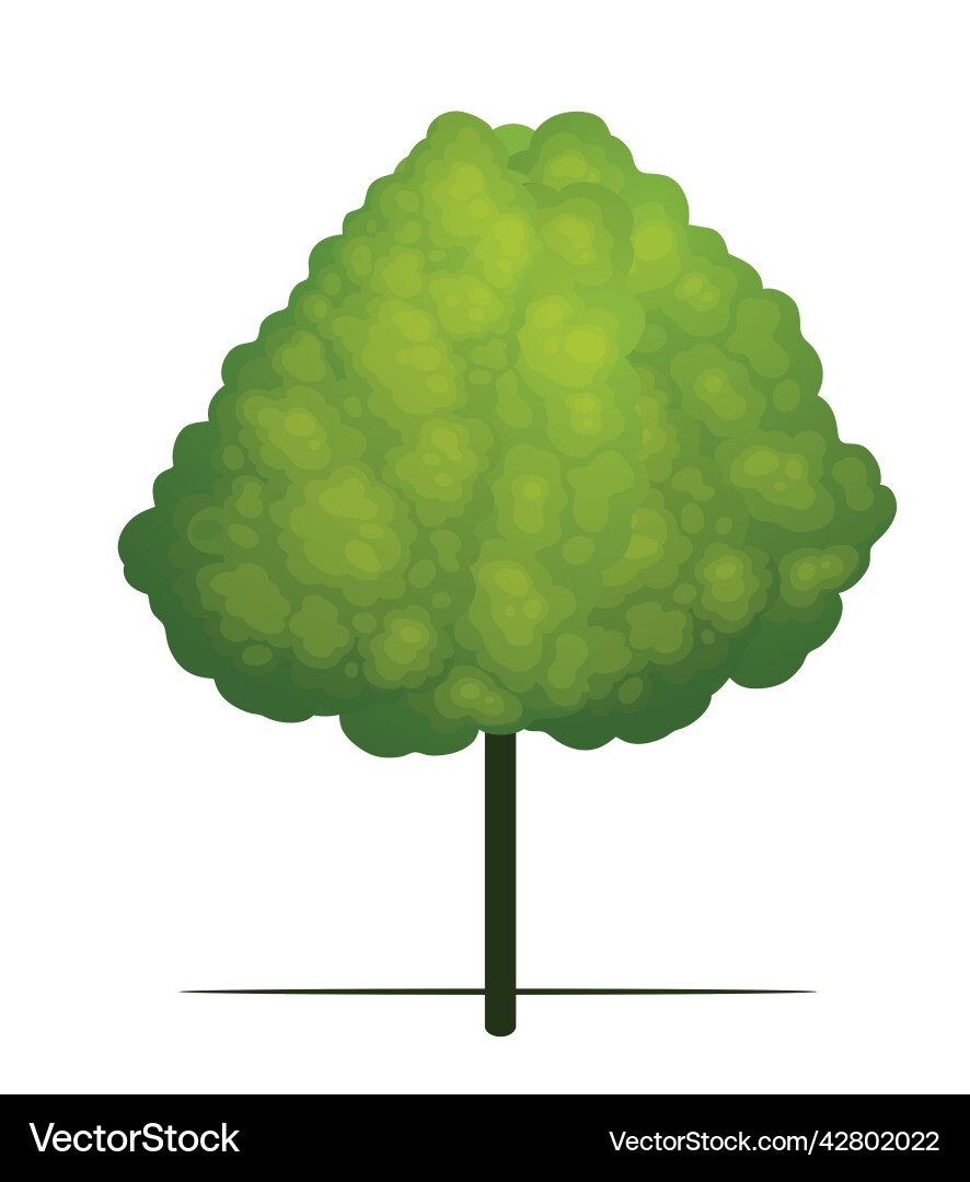 Green spring tree Royalty Free Vector Image - VectorStock