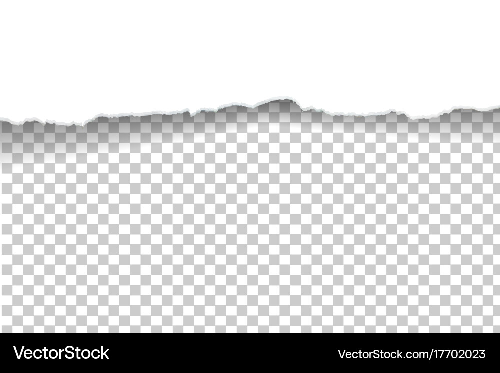 Ripped paper Royalty Free Vector Image - VectorStock