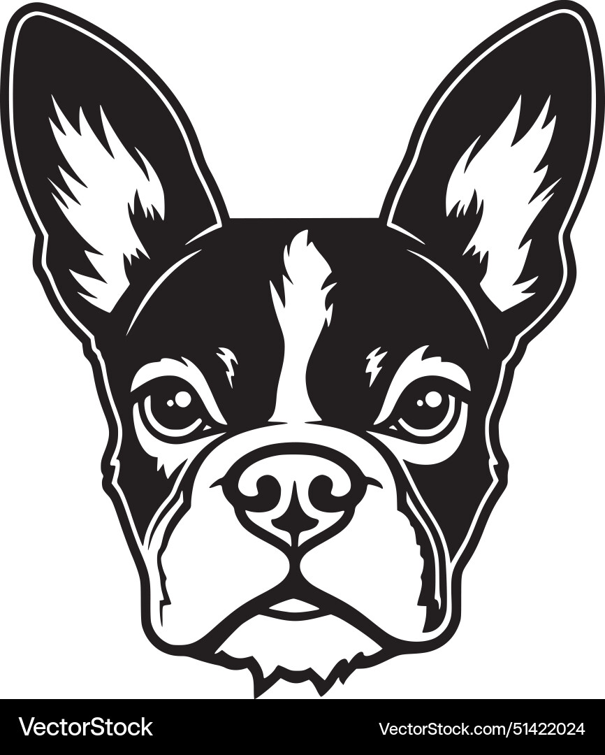Boston terrier - high quality logo ideal Vector Image