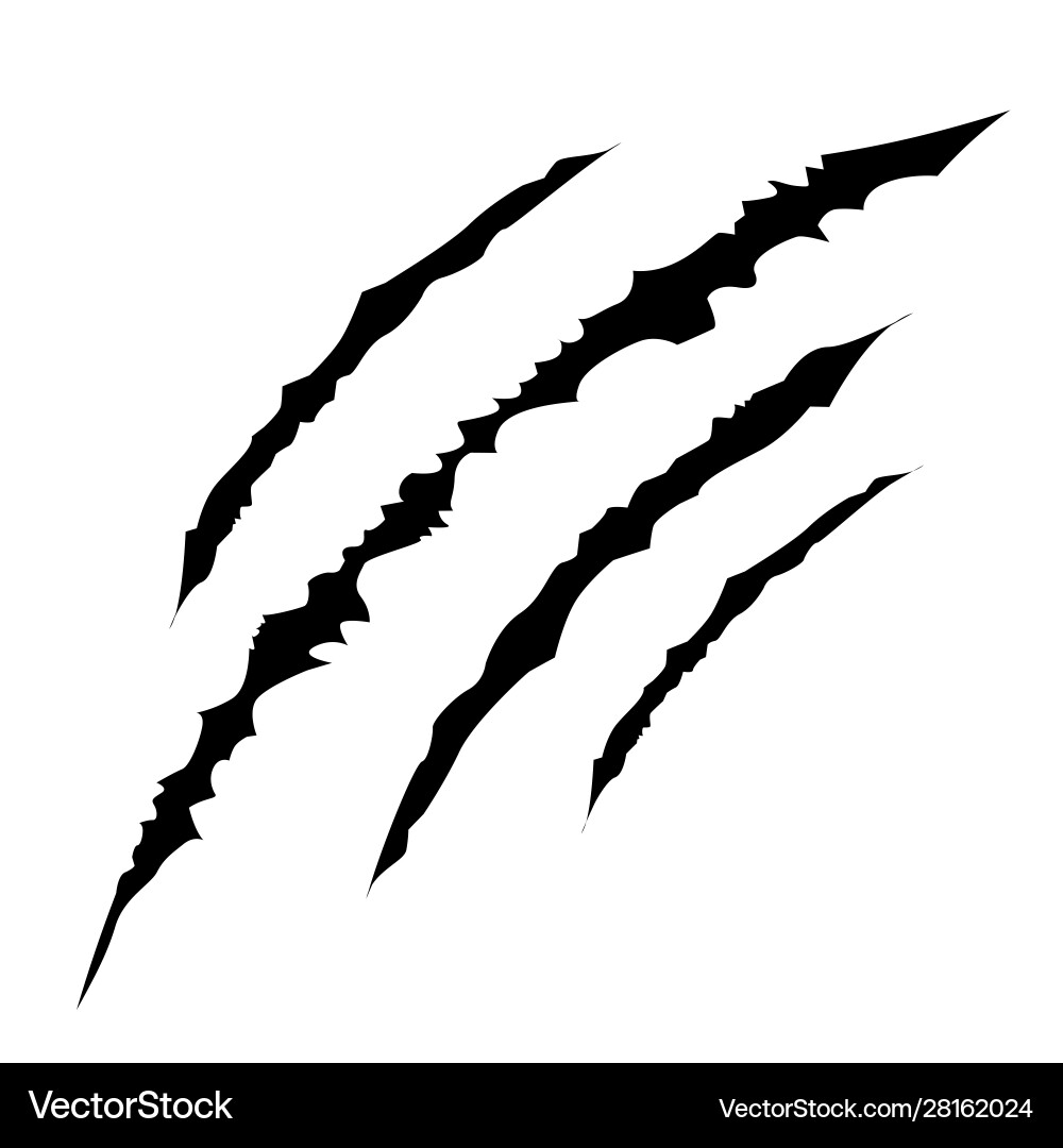 Traces claw scratches Royalty Free Vector Image