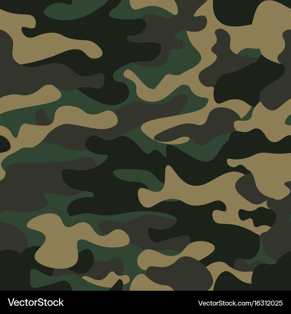 Classic Camouflage Pattern Royalty Free Vector Image