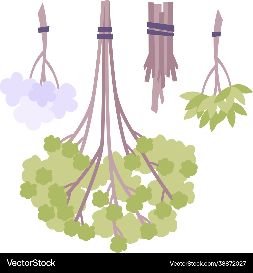 Flat herbs Royalty Free Vector Image - VectorStock