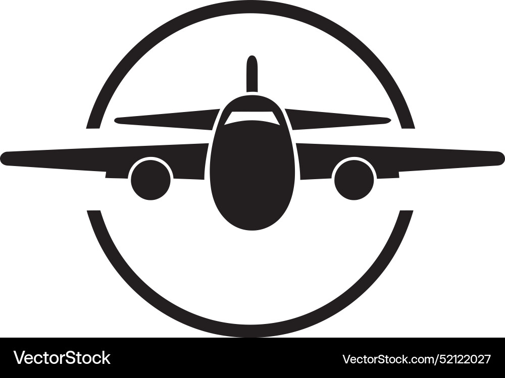 Graphite wings black aircraft artaeronautical Vector Image