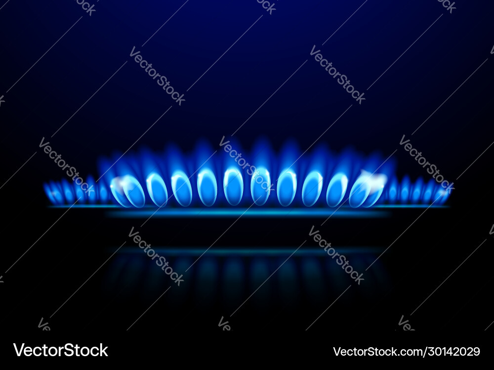Picture gas5 Royalty Free Vector Image - VectorStock