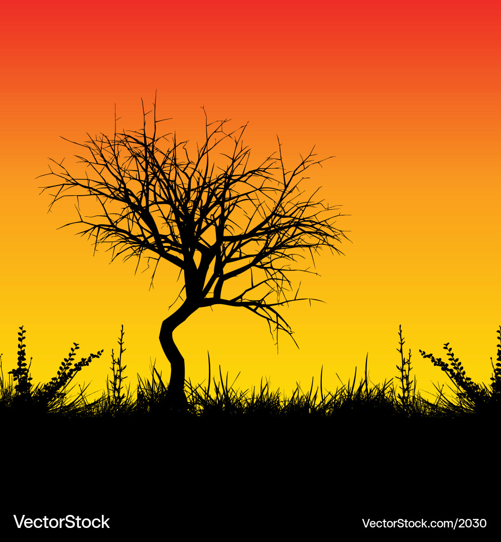 Sunset tree Royalty Free Vector Image - VectorStock