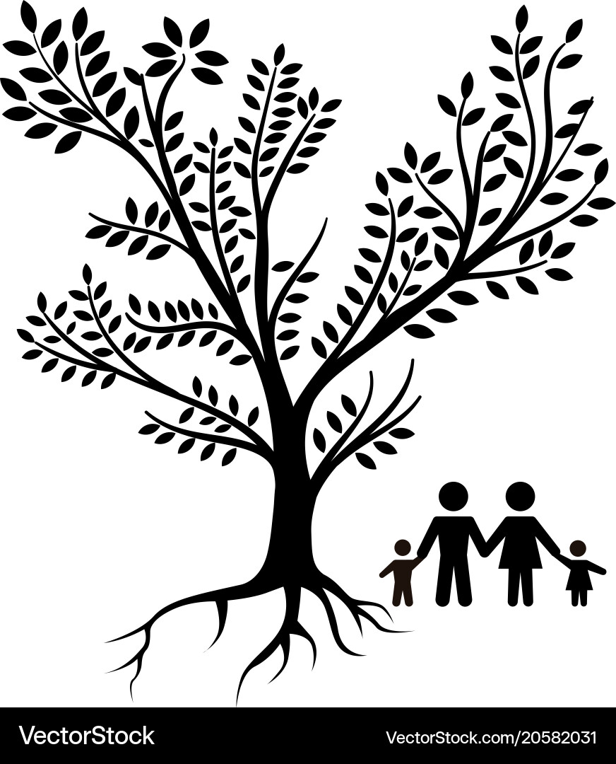 Elegant Family Tree Royalty Free Vector Image - VectorStock