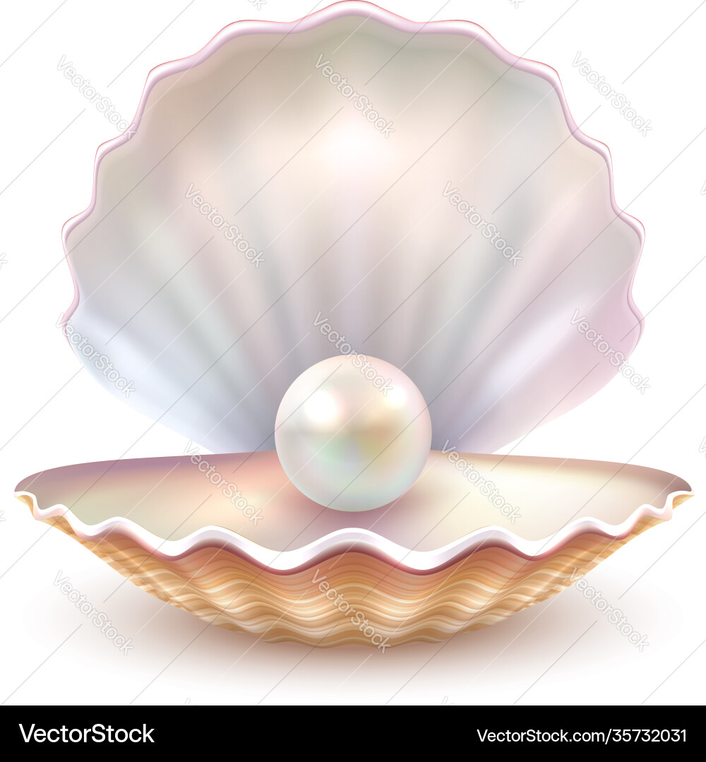 Pearl shell realistic close up image Royalty Free Vector