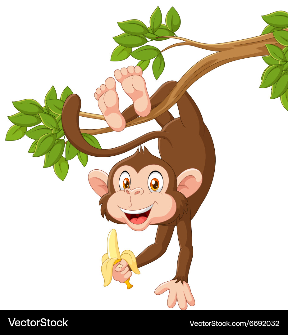 Cartoon Monkey Swinging with Banana – Royalty-Free Vector | VectorStock