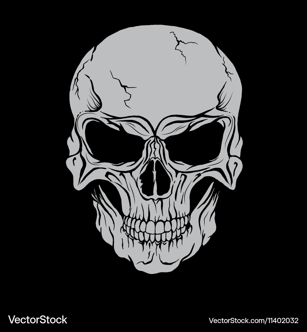 Skull head Royalty Free Vector Image - VectorStock