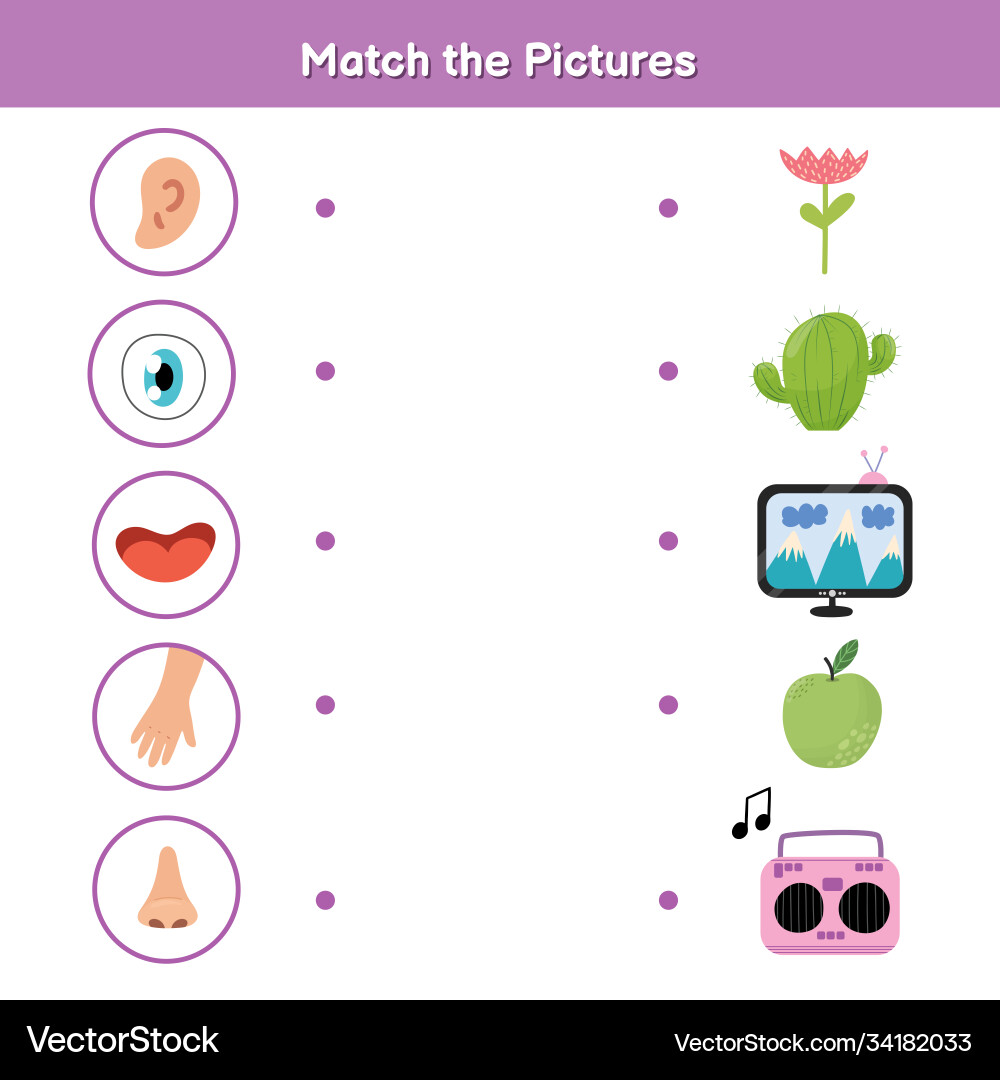 Five senses matching game for kids sight touch Vector Image