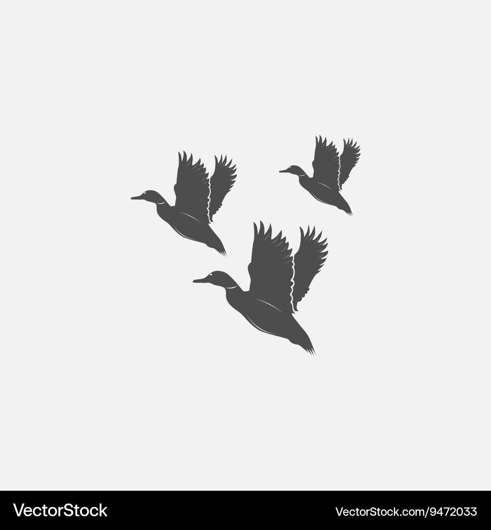 Flying ducks in grayscale Royalty Free Vector Image