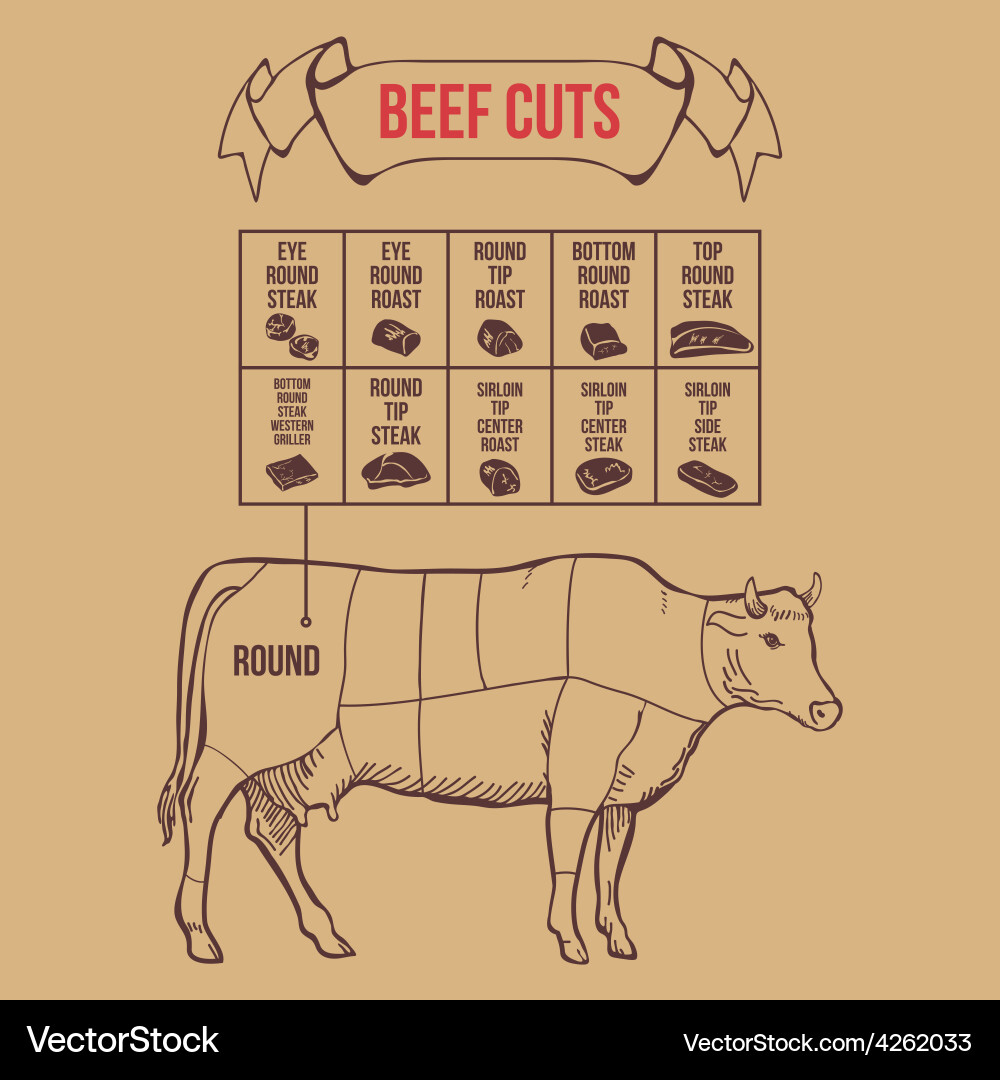 Vintage Butcher Beef Cuts Chart Royalty Free Vector Image