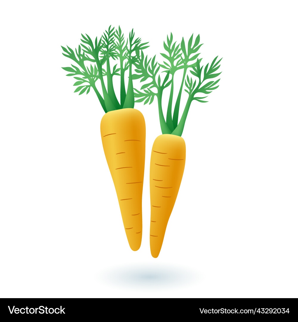 3d cartoon style carrots icon on white background Vector Image