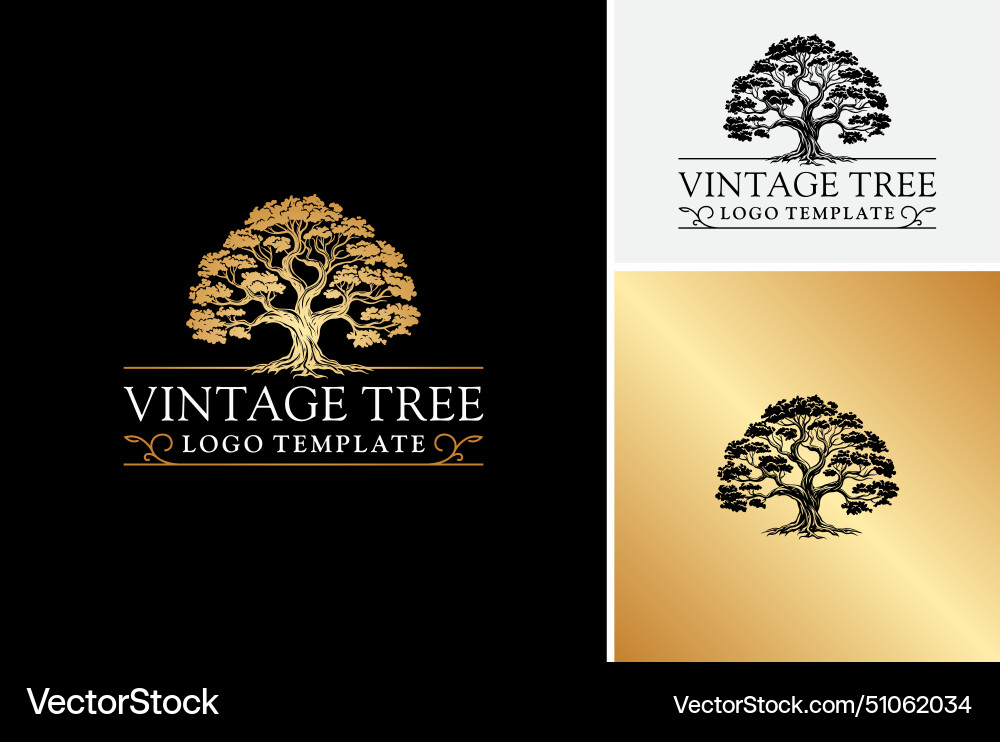 Classic golden oak maple elm chestnut tree logo Vector Image
