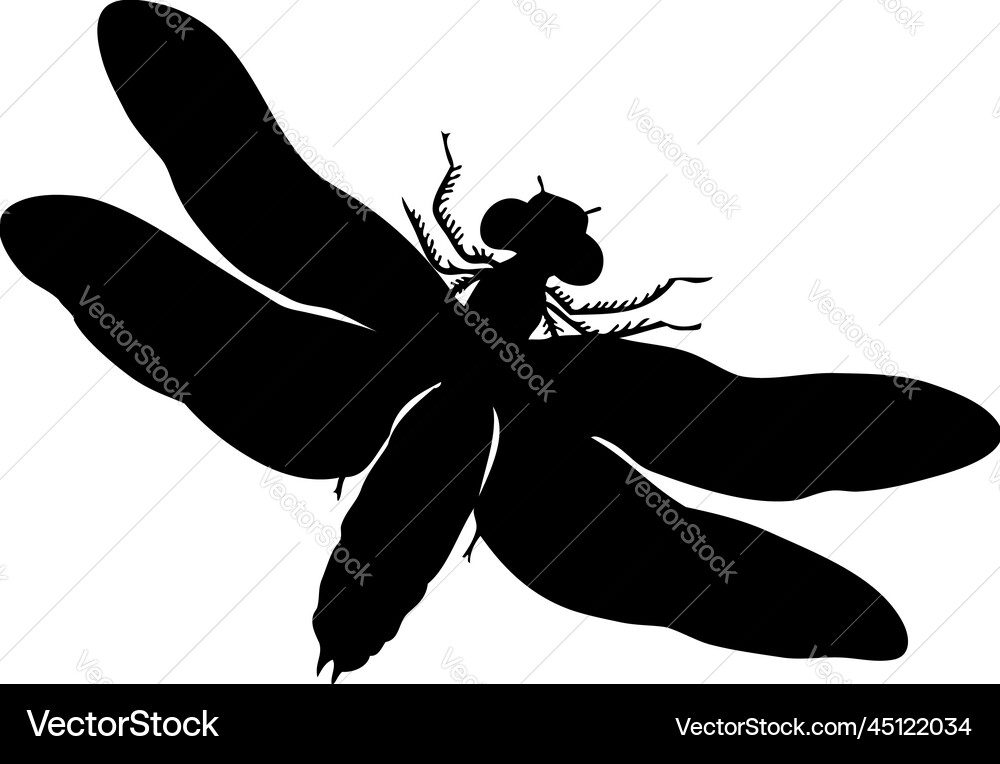 Dragonfly silhouette Royalty Free Vector Image