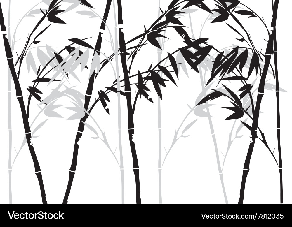Bamboo Royalty Free Vector Image - VectorStock