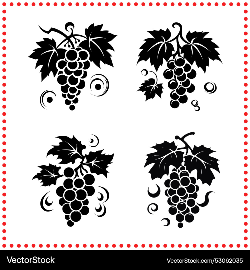 Bountiful grapevine ideal graphic for vineyard Vector Image