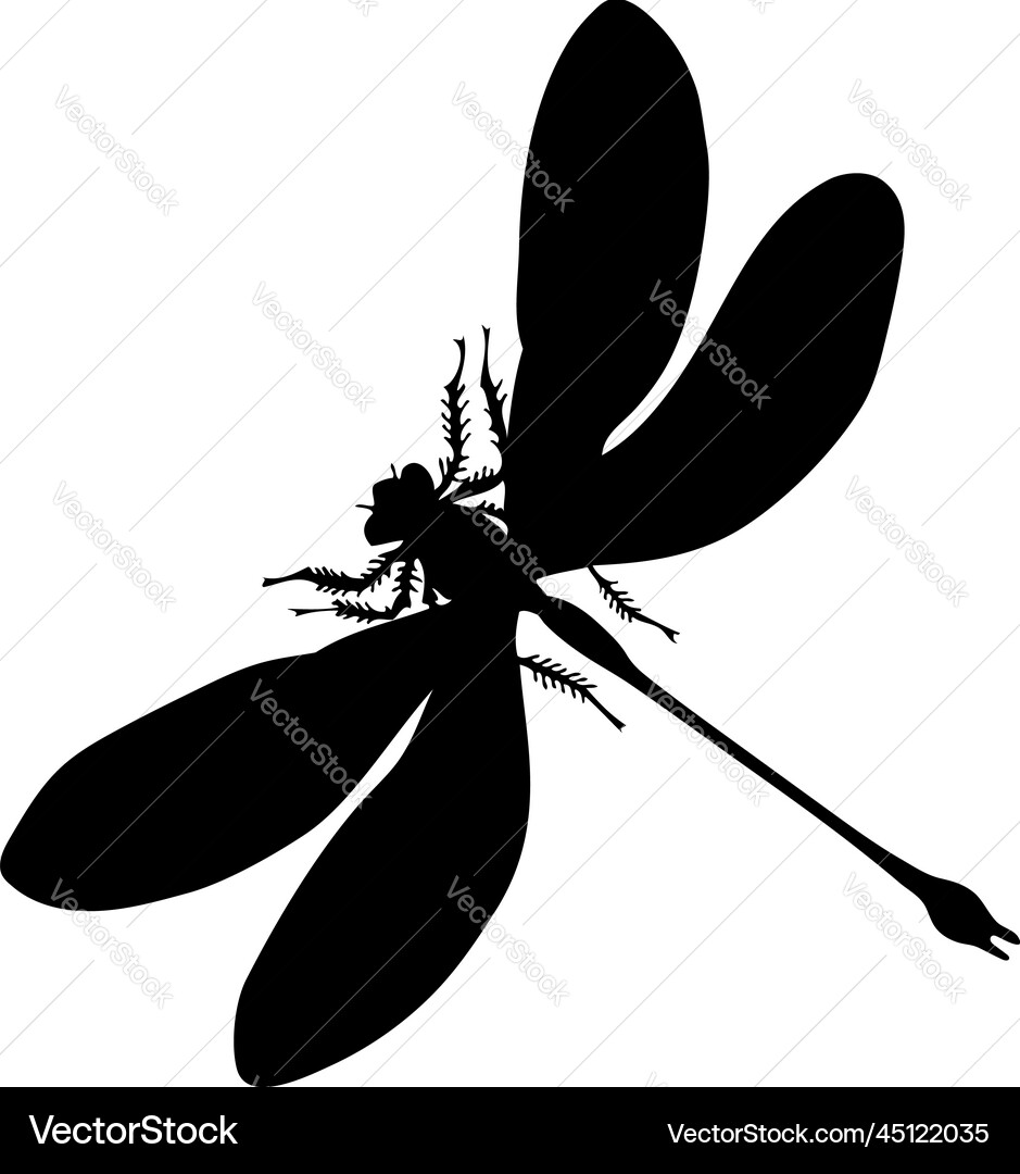 Dragonfly silhouette Royalty Free Vector Image