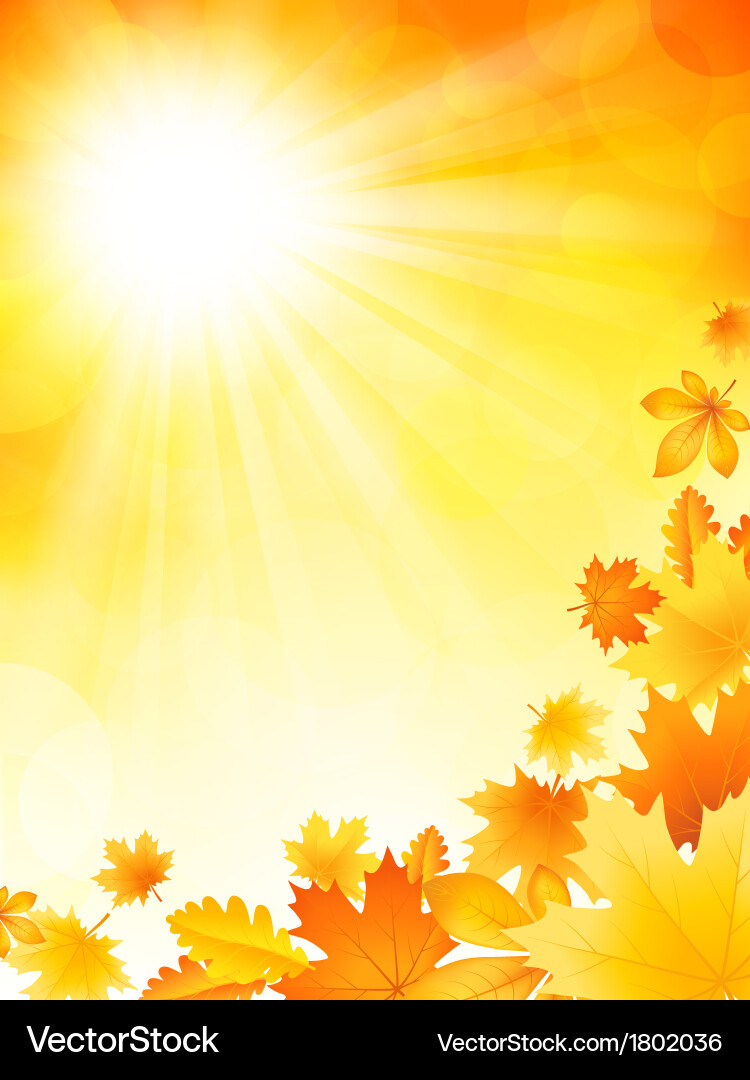 Autumn Leaves Background Royalty Free Vector Image